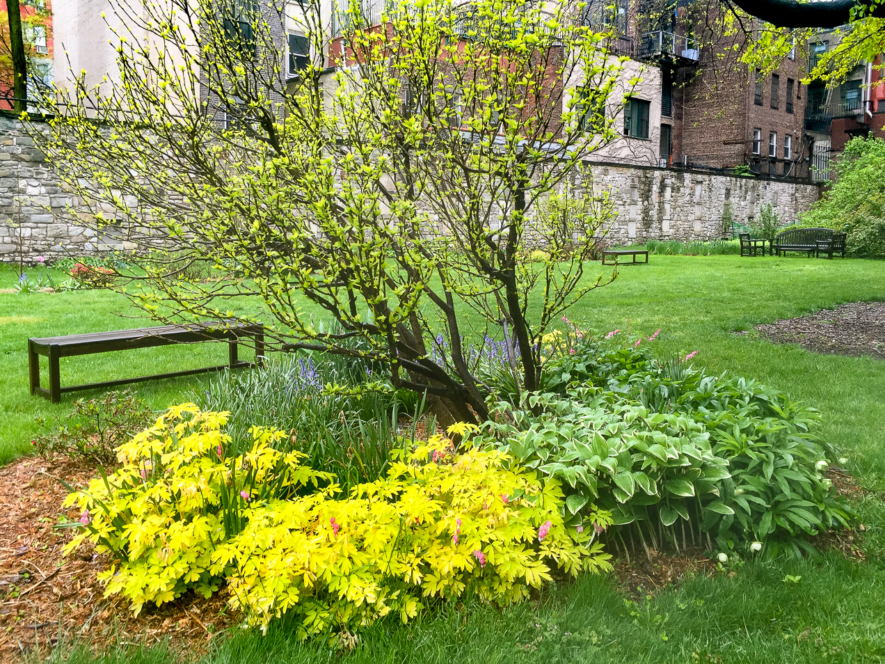 New York Marble Cemetery – Gresham Lang Garden Design, LLC