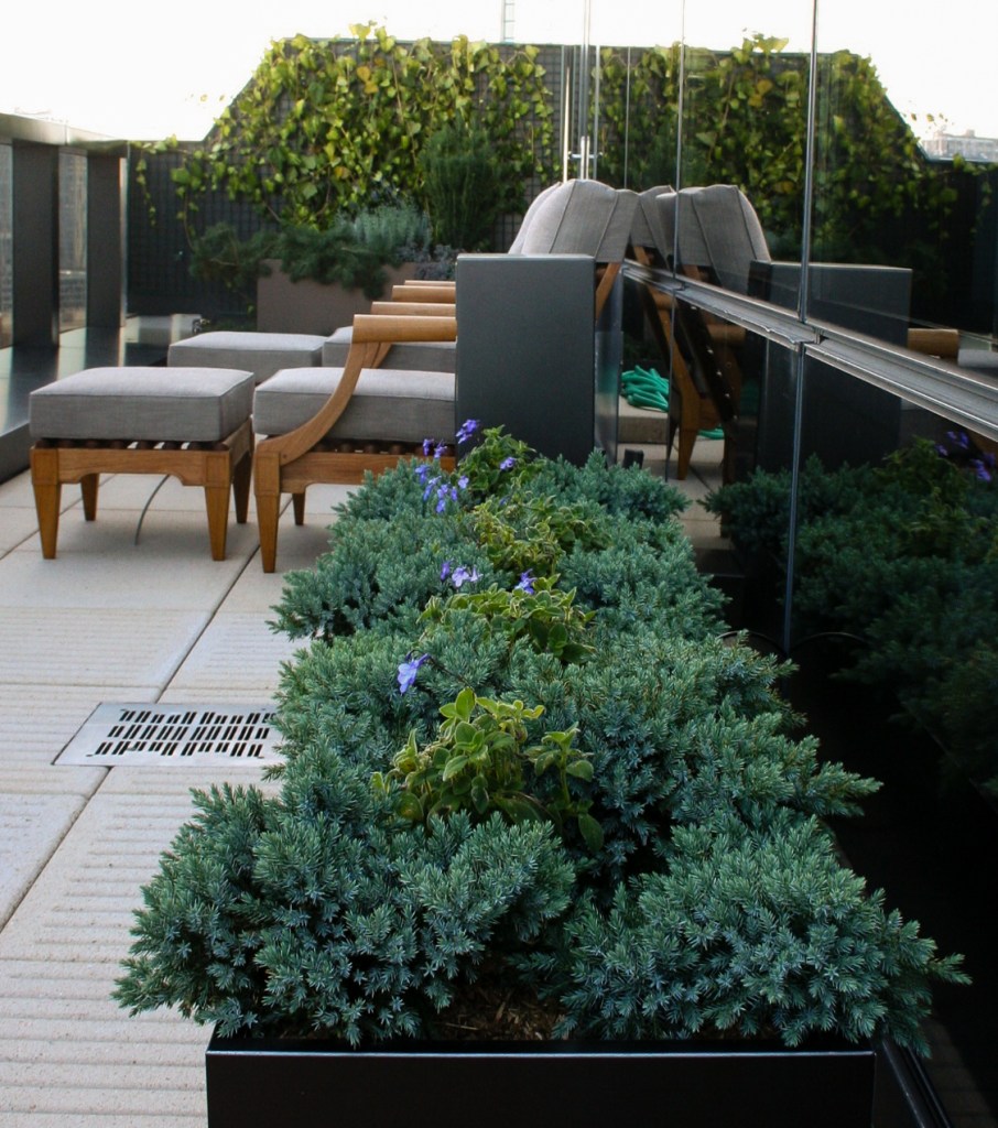 Columbus Circle Terrace – Gresham Lang Garden Design, LLC