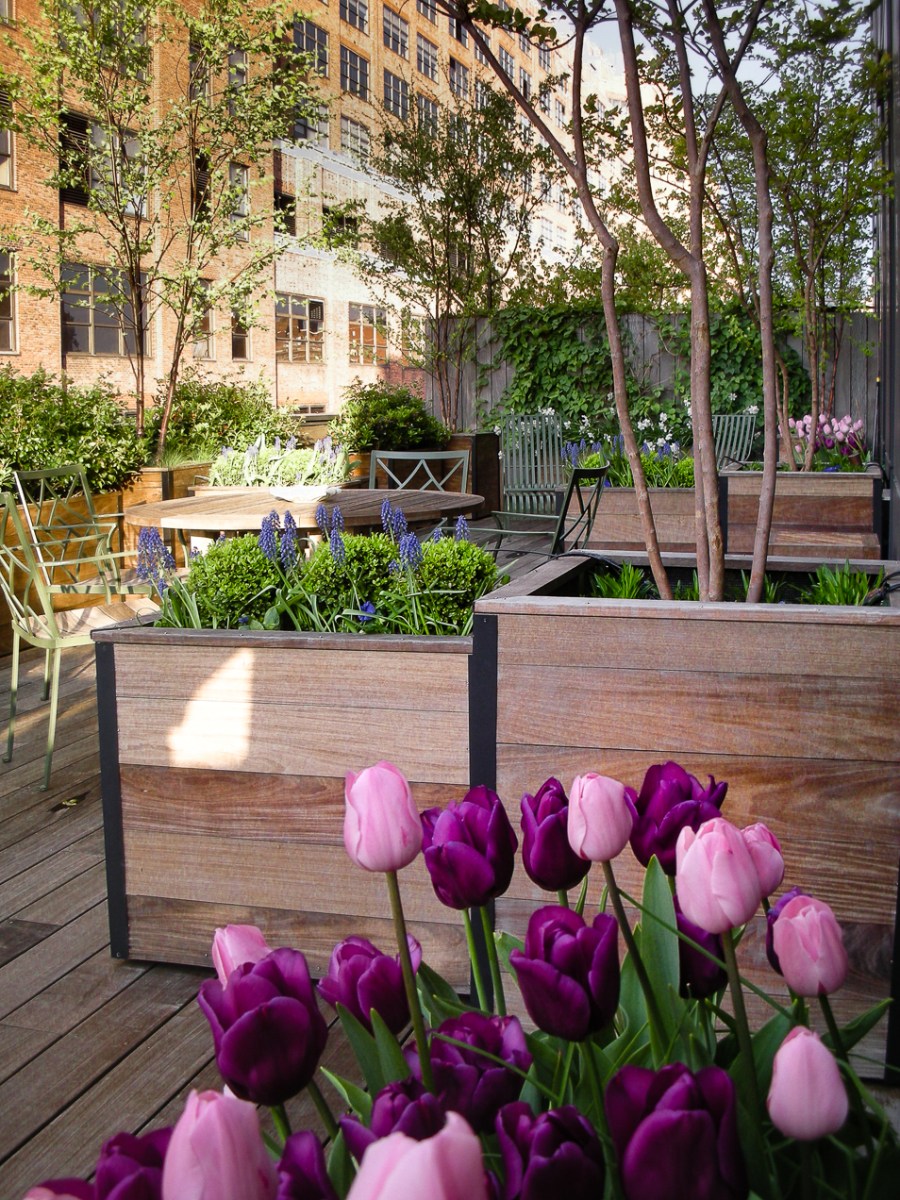Chelsea Rooftop – Gresham Lang Garden Design, LLC