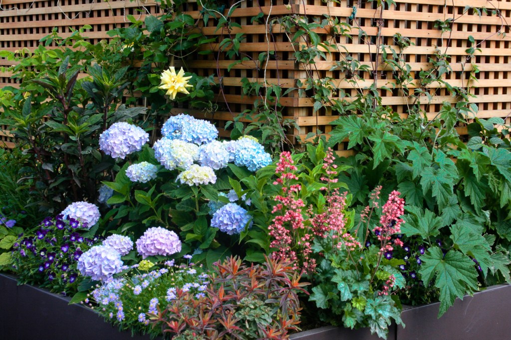 Union Square Garden – Gresham Lang Garden Design, LLC