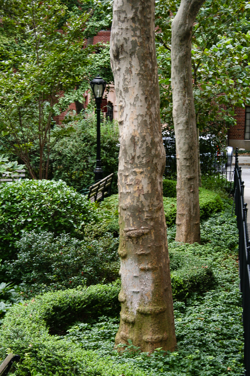 Tudor City Greens – Gresham Lang Garden Design, LLC