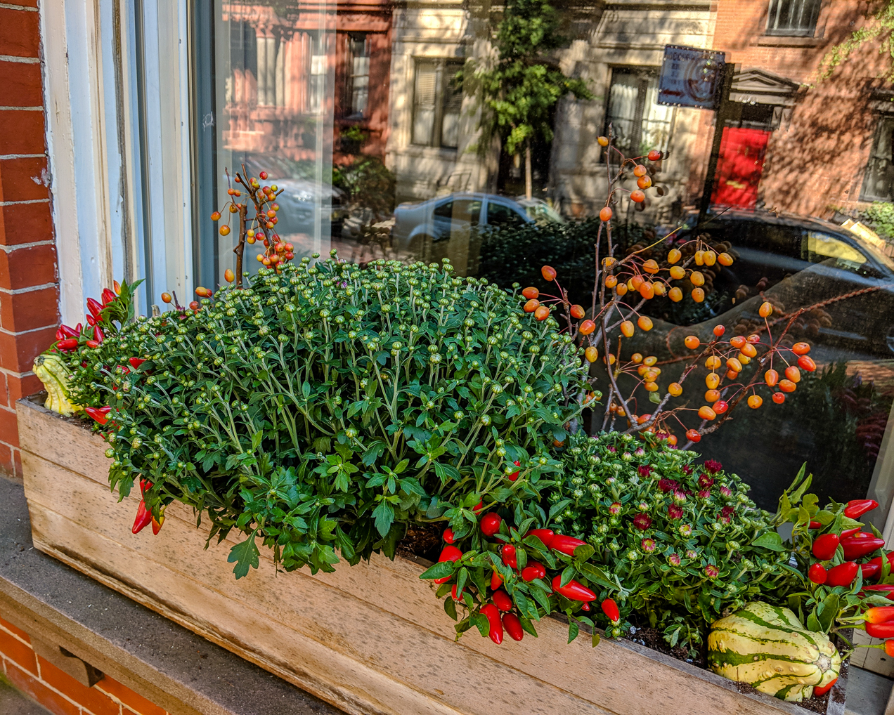 Fall Annuals – Gresham Lang Garden Design, LLC