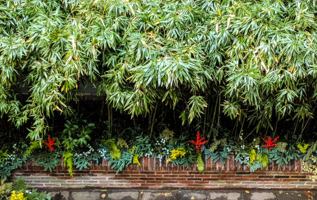 Winter Displays – Gresham Lang Garden Design, LLC